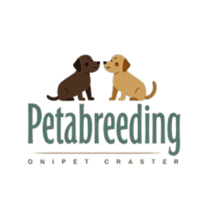 The 7 Types of Dog Groups Explained (AKC Guide) - Pet Breeding Club