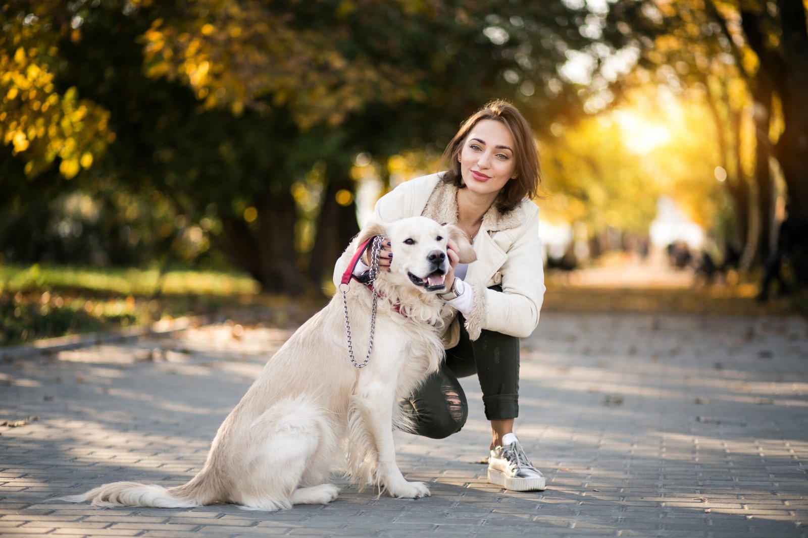 The 7 Types of Dog Groups Explained (AKC Guide) - Pet Breeding Club
